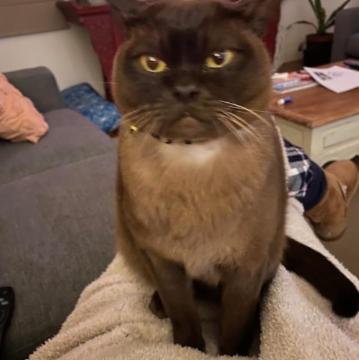 The House Sitters - the easiest way to find the right housesitter to ...